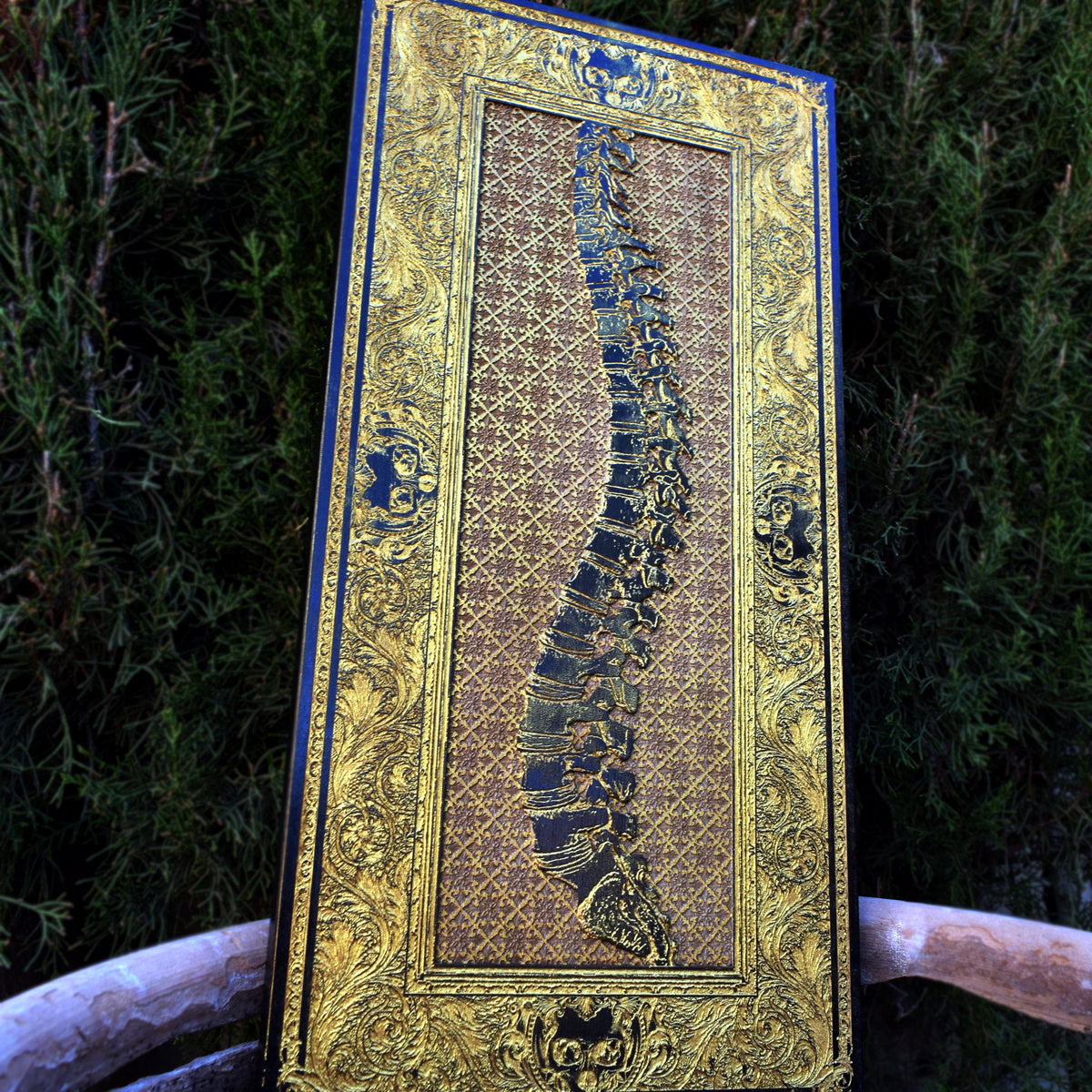 Human Spine Wood Art Anniversary Gift Doctor Medical Student ...