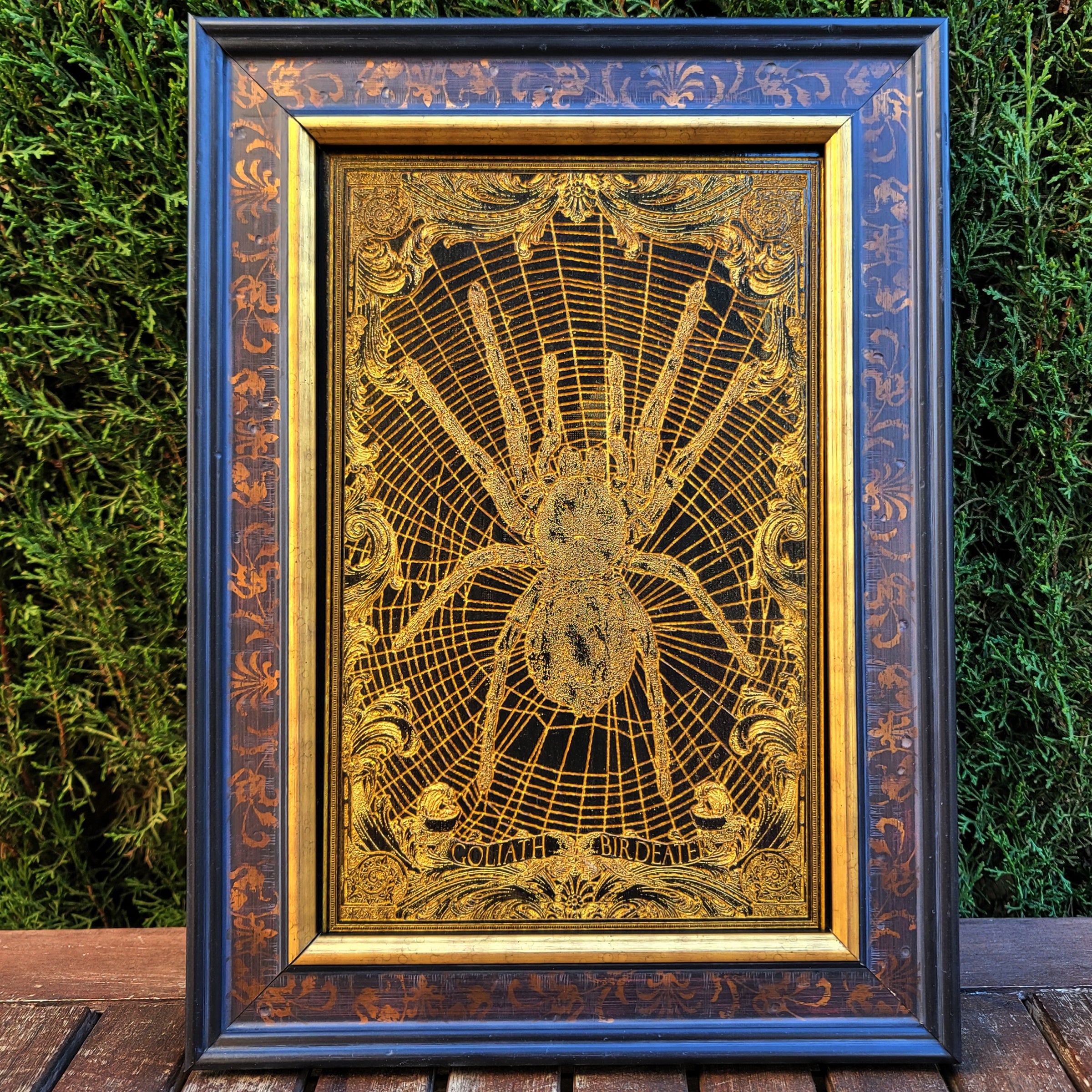 Spider Goliath BirdEater Art Wood Wall Art – Laser-Engraved Gift for ...